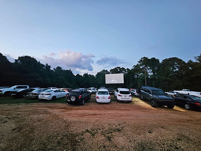 Movie paradise from above. Rows of vehicles await cinematic adventures as the Blue Moon's screen glows with promise.