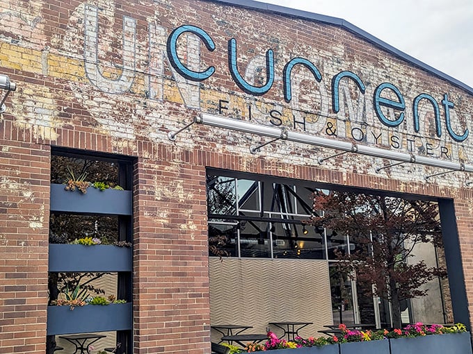 Those windows reveal more than just natural light – they showcase culinary artistry happening within.