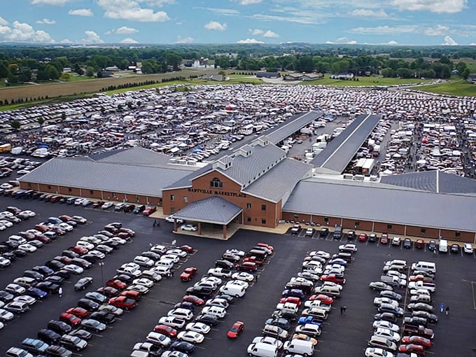 Inside these halls, every aisle promises discoveries that could change your weekend plans completely.