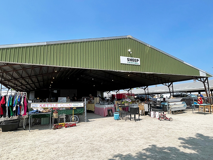 The "Sheep" shed at Kane County Flea Market—where one person's castoffs become another's conversation pieces for decades to come.