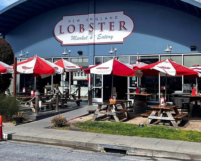 Sometimes the best seafood joints look like summer camp dining halls, and that's exactly the point here.