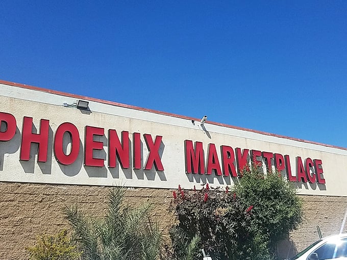 Desert sun kisses the PHOENIX MARKETPLACE sign where palm fronds dance in the breeze. Like finding Elvis memorabilia at a yard sale—unexpected and absolutely perfect!