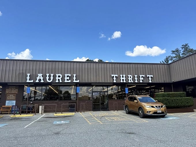Sunshine gleams off Laurel Thrift's simple exterior—inside awaits a treasure trove that would make Indiana Jones jealous.