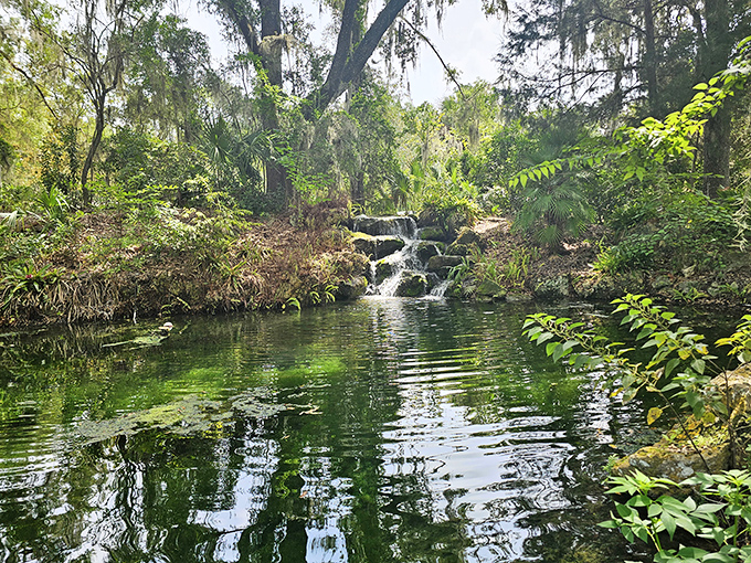 Liquid emerald on the move! This gentle cascade at Rainbow Springs looks like something Tolkien dreamed up for Middle-earth's spa day.