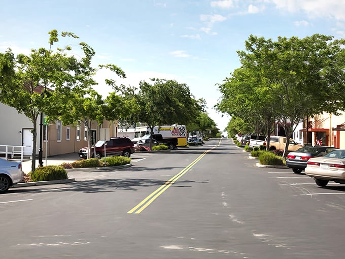 Main Street's green sentinels stand guard over Rio Vista's sun-drenched thoroughfare—a Norman Rockwell painting with parking spaces and pickup trucks.