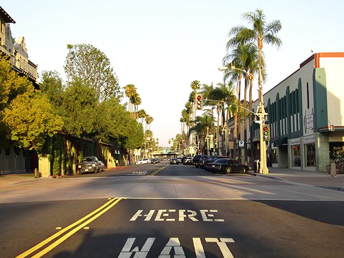 Downtown Riverside glows at sunset, where palm trees meet history and every corner feels like home.