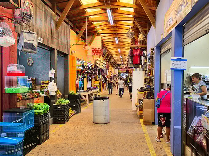 Indoor market magic unfolds under these beams, creating shopping adventures that stretch for delightful miles.
