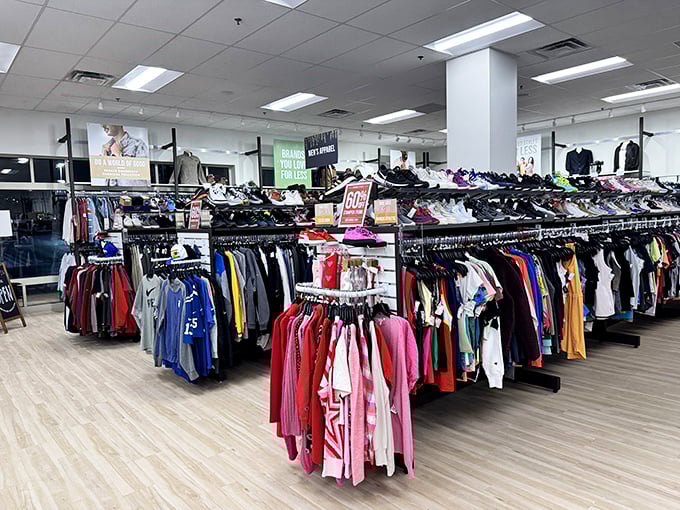 Organized racks and proper lighting make treasure hunting feel less like archaeological excavation work.