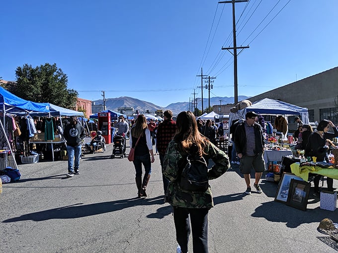 Every tents whispers stories of the past while bargain seekers discover tomorrow's favorite finds today.