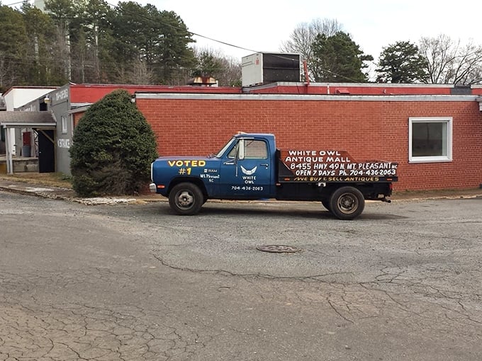 That vintage blue truck isn't just decoration – it's the perfect mascot for this Mt. Pleasant treasure trove of memories and memorabilia.