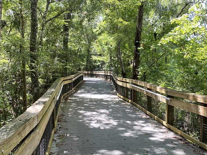 Strolling this shaded boardwalk feels like walking through a movie set, except the special effects department is Mother Nature herself.