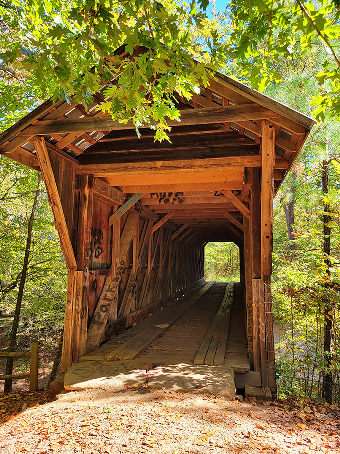 Peering through this architectural tunnel is like gazing through a viewfinder into 1894. The lattice framework creates a mesmerizing perspective.