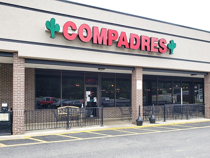 At Compadres, the neon cactus isn't just signage—it's a beacon of hope for enchilada enthusiasts seeking authentic flavors in southwestern Virginia.