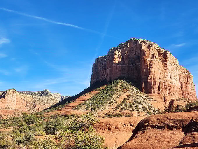 The desert's skyscraper stands proud against an impossibly blue Arizona sky. No architect could design something this perfectly imperfect.