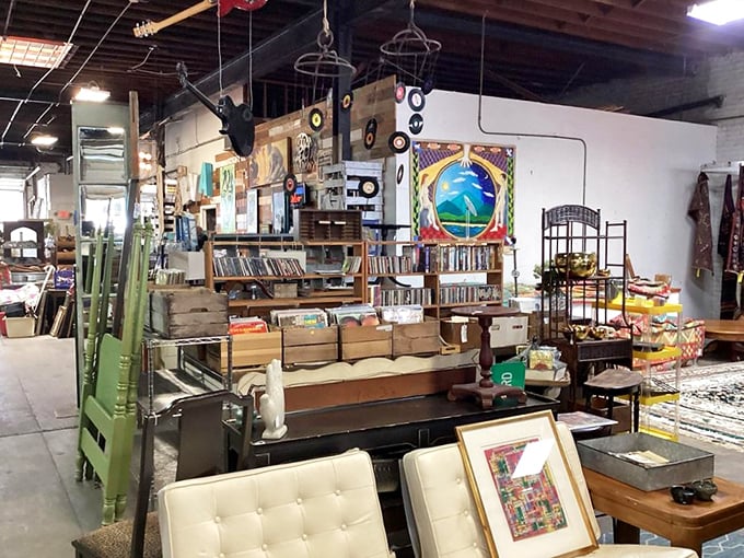 Books, frames, and furniture coexist in beautiful chaos. Like a well-curated garage sale hosted by a design professor with eclectic taste.