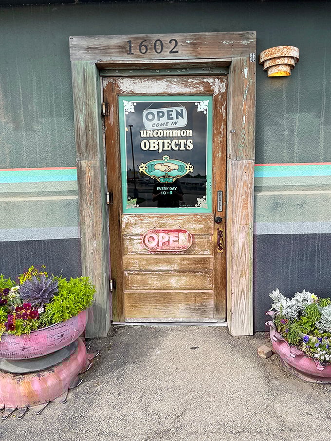 This isn't just a door—it's a time portal. Complete with vintage weathered wood and those charming repurposed tire planters that scream "creative reuse."