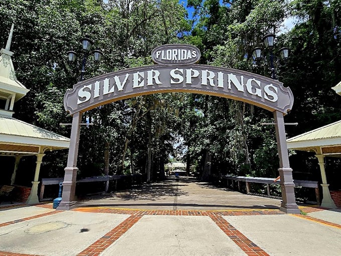 Step through this vintage archway and leave the modern world behind. It's like a portal to Old Florida, minus the mosquito swarms of yesteryear.