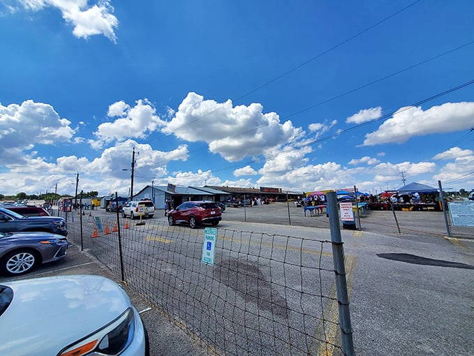 Under the watchful eye of Texas clouds, Bussey's sprawls across acres of asphalt—a kingdom of commerce where haggling is the official language.
