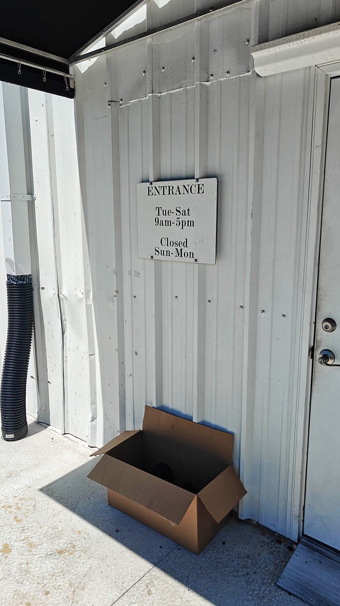 That cardboard box isn't trash—it's a promise of fresh donations arriving to fuel your treasure-hunting dreams.