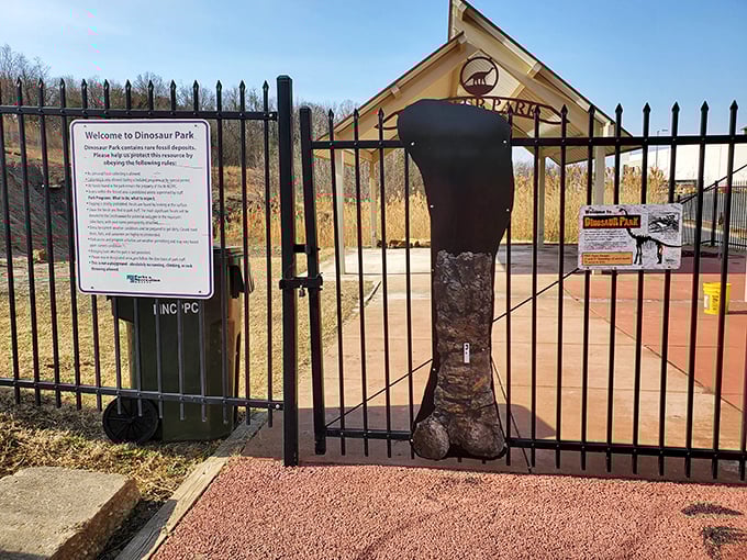 The entrance to prehistoric adventure awaits behind these gates. That dinosaur leg fossil isn't going to kick you—probably.