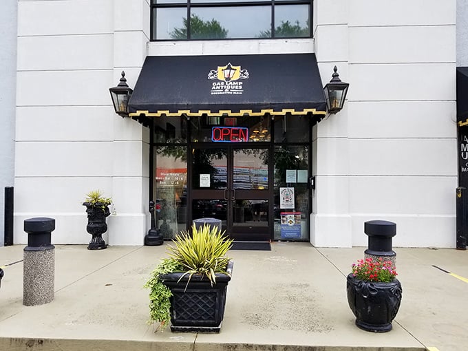The elegant awning and carefully curated planters offer just a hint of the refined chaos of collectibles awaiting inside.
