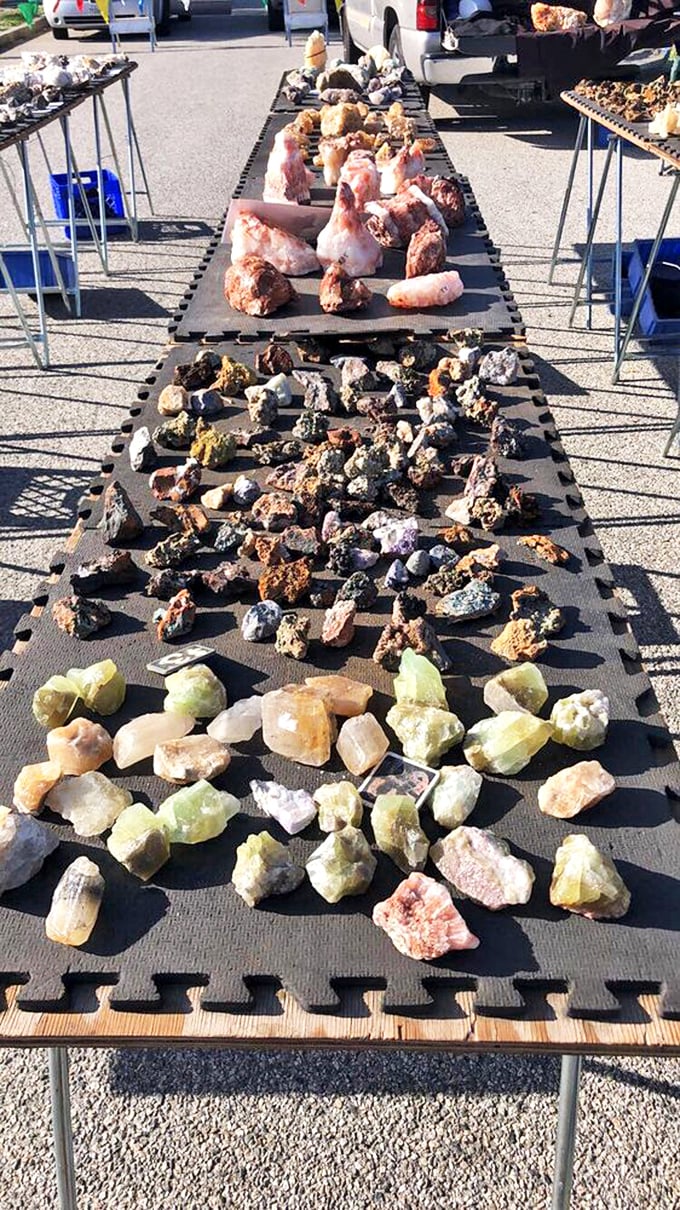 Nature's jewelry box spilled open. These geological gems aren't just rocks – they're conversation pieces waiting to adorn your home.