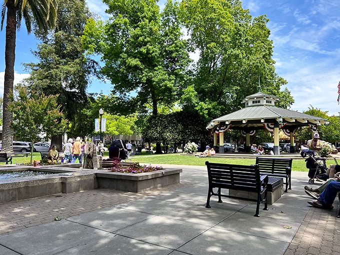 The town plaza—Healdsburg's living room—where strangers become friends and the gazebo has heard more music than most concert halls. 