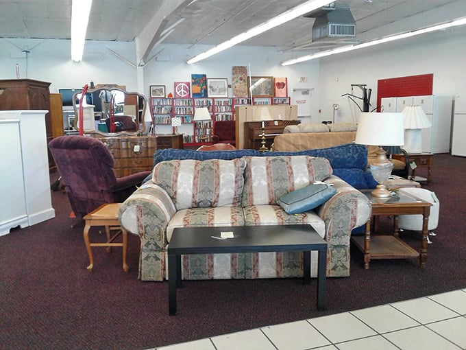 Living room treasures arranged like a cozy showroom. That striped sofa has stories to tell—and at thrift store prices, you can afford to listen.