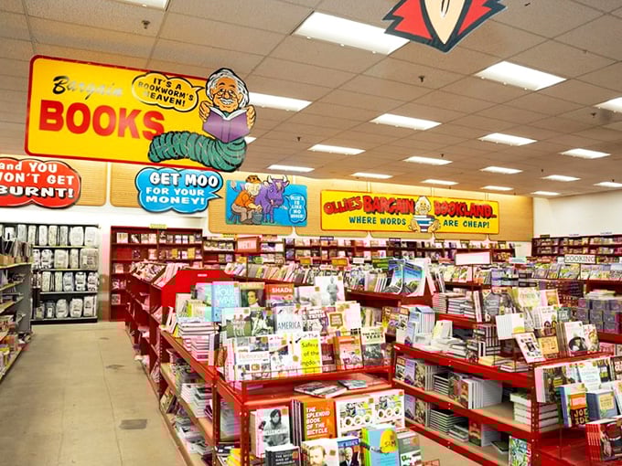 Bookworms, rejoice! Ollie's book section is like a literary treasure chest where bestsellers come to find loving homes at prices that make English majors weep with joy.