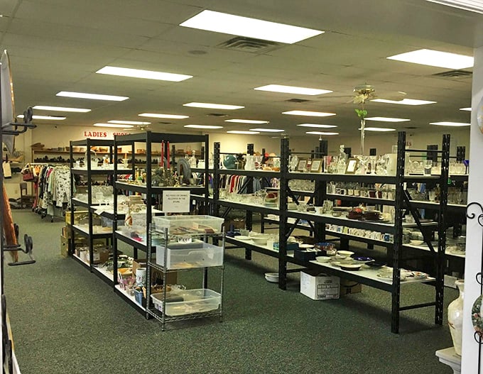 Organized chaos at its finest—shelves upon shelves of potential discoveries waiting for someone to give them a second chance.