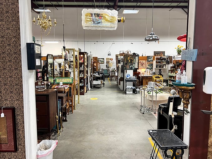 Step inside and enter a labyrinth of memories where every aisle promises new discoveries and the thrill of the unexpected hunt.