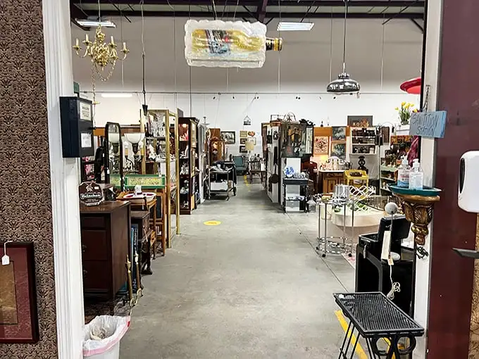 Step inside and enter a labyrinth of memories where every aisle promises new discoveries and the thrill of the unexpected hunt.