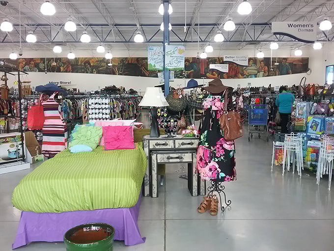 Step inside and the treasure hunt begins! This isn't your grandmother's cluttered thrift store—it's an organized paradise where yesterday's castoffs become tomorrow's conversation pieces.