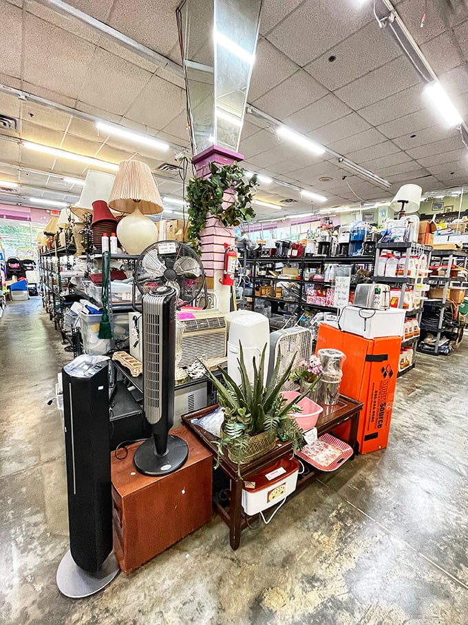 The electronics section—where yesterday's must-have gadgets await their second act. That tower fan might outlast whatever smart device you're eyeing online.