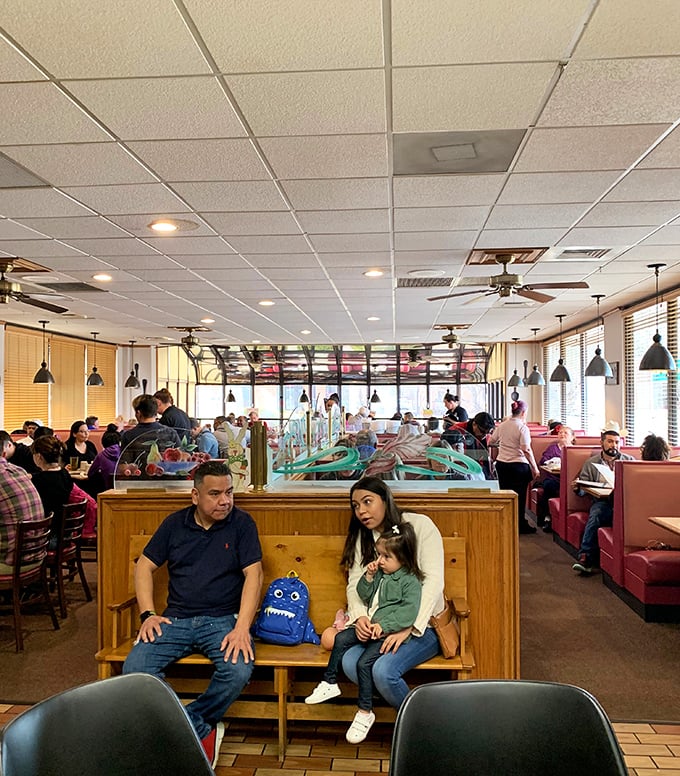 Bustling with life, Johnny Pamcakes' interior is where Rockford gathers. Those red vinyl booths have witnessed first dates, family celebrations, and countless "just one more coffee" mornings. 