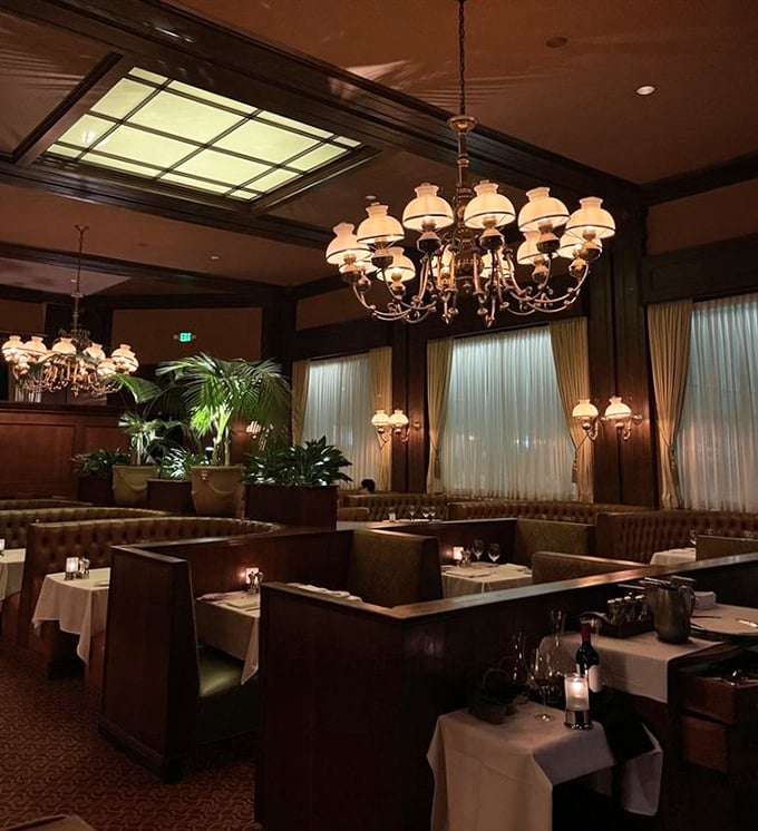 Step inside and time slows down – elegant chandeliers, leather booths, and that perfect amber lighting that makes everyone look like they're starring in their own classic film.