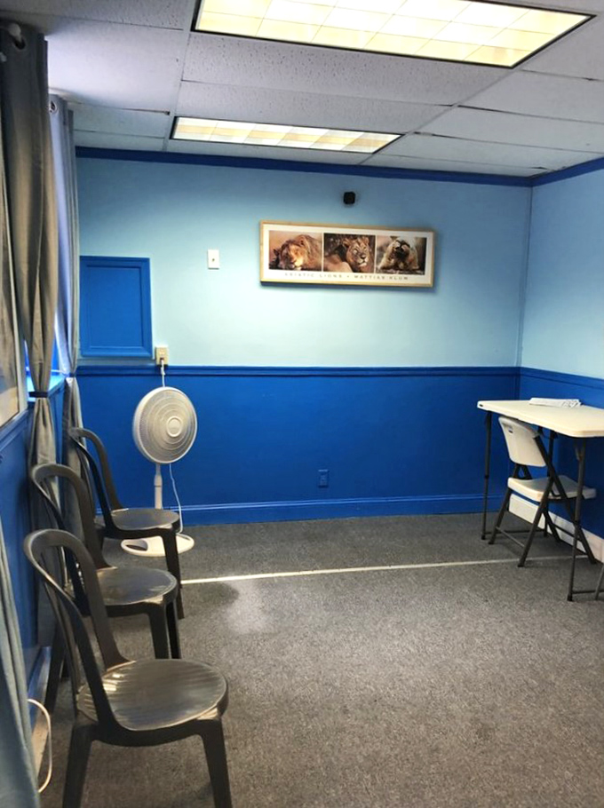 Blue walls create a no-nonsense backdrop for the real star of the show—food that speaks volumes in a space that whispers.