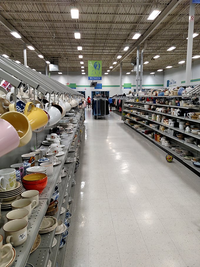 Kitchenware alley – where yesterday's forgotten mugs become tomorrow's "my favorite cup" in an instant.