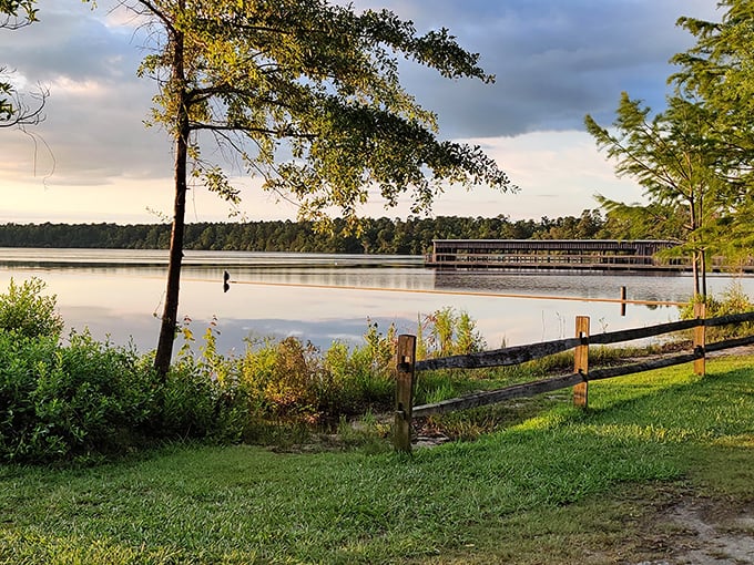 That wooden fence isn't just for show—it's holding back pure serenity. Golden hour at Jones Lake turns even the simplest landscape into a masterpiece worthy of your living room wall.