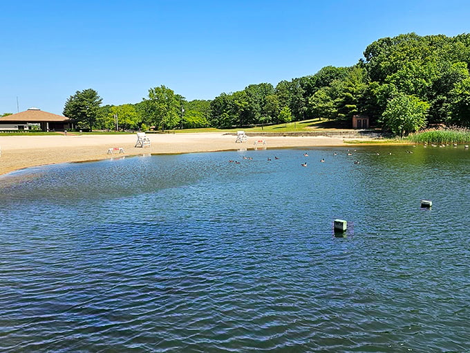 Hooks Creek Lake offers a refreshing summer escape with its pristine swimming area. Those ducks seem to have the right idea about how to spend a sunny day.