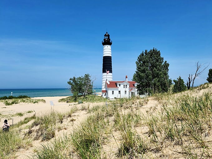 Dune grasses frame the iconic lighthouse like nature's own welcome mat. Lake Michigan's blue horizon reminds us why they call this America's Third Coast.