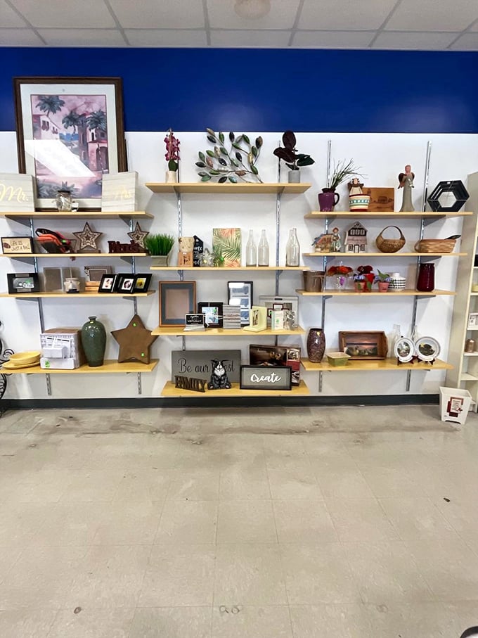 Not your average home décor section! These shelves tell stories of past lives and future possibilities, each item waiting for its second act in someone's carefully curated space.