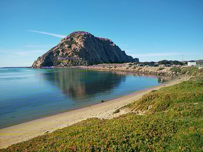 The perfect beach day doesn't exi— Oh wait, here it is! Morro Rock creates a dramatic backdrop for beachcombers enjoying California's pristine shoreline.