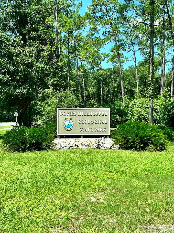 Standing tall among the pines, this unassuming sign marks the entrance to one of Florida's most jaw-dropping natural wonders.
