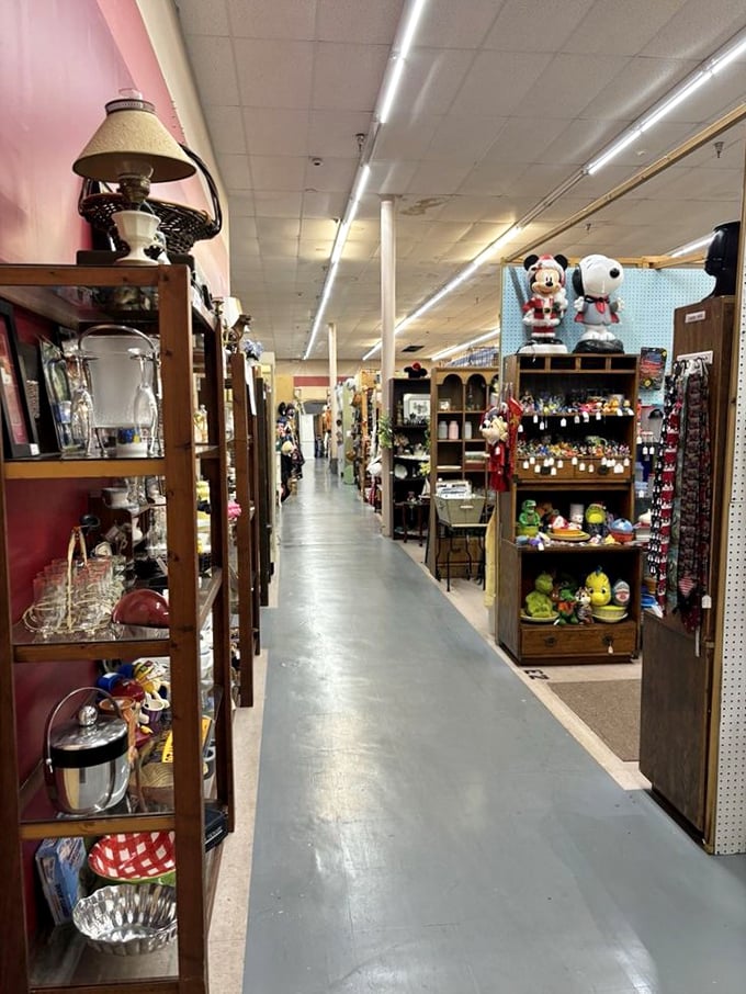 Endless aisles of possibility stretch before you. The fluorescent lighting illuminates decades of American life, neatly arranged and waiting for discovery.