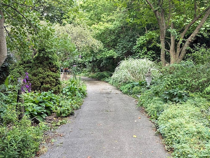 The garden path less traveled beckons with green whispers on both sides. This isn't just a walkway—it's nature's invitation to adventure.