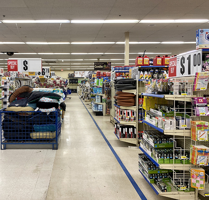 The aisle that launched a thousand shopping carts. Where everyday necessities meet unexpected treasures, all under those iconic fluorescent lights.