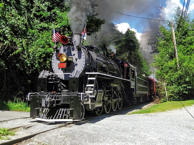 Iron horse meets wilderness! This magnificent steam engine, complete with American flags, looks ready to conquer the verdant North Carolina landscape.