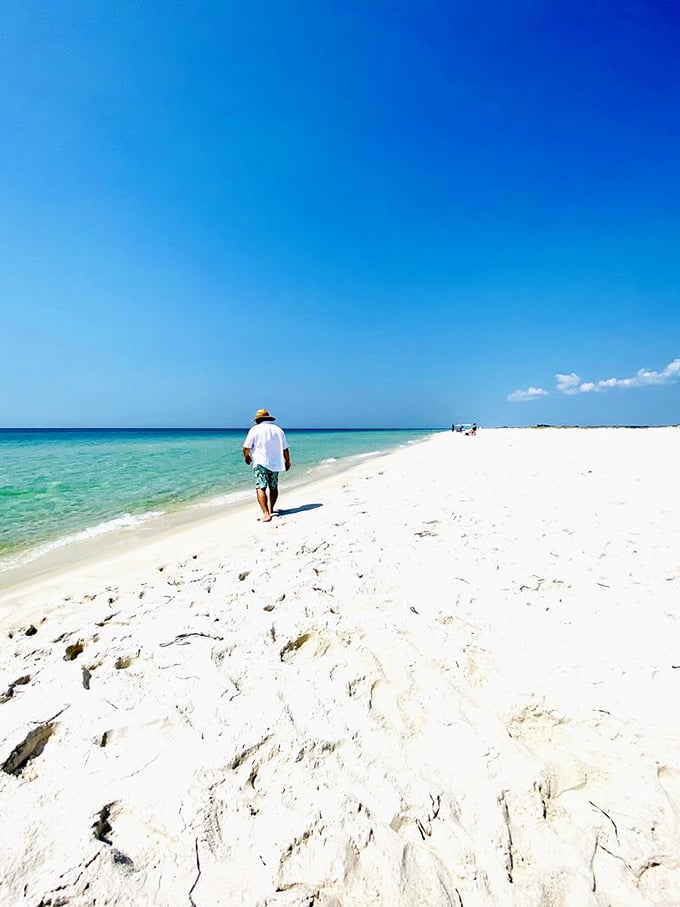 Social distancing before it was mandatory. At Opal Beach, having this much pristine shoreline to yourself isn't luck—it's Tuesday.
