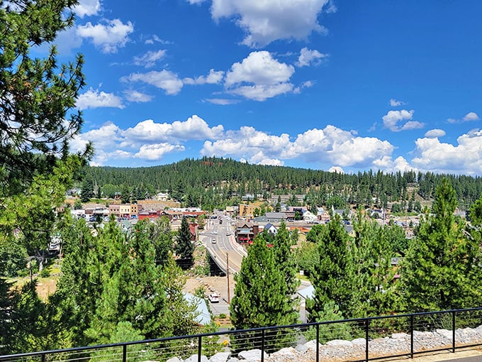 A bird's-eye view that explains everything – Truckee nestled among pines like nature's perfect snow globe waiting to be shaken.